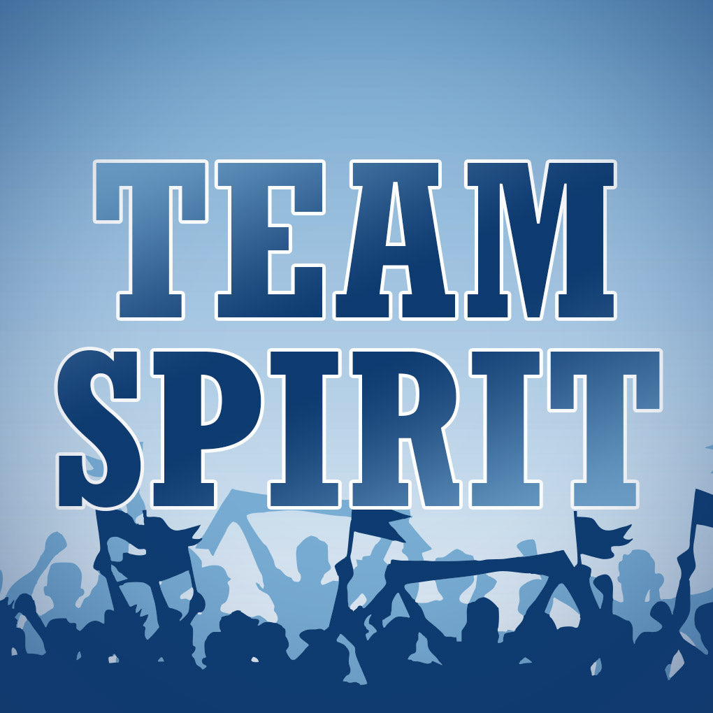 Team Spirit Collection – Railroad Sock